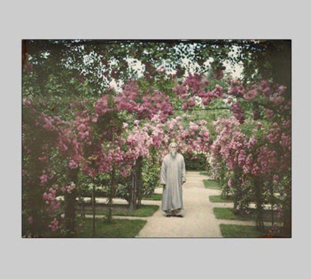 Tagore, le lion du soleil | ÉVOLUTE Conseil